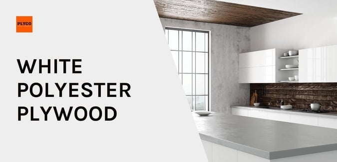 New Products Available at Plyco this November!