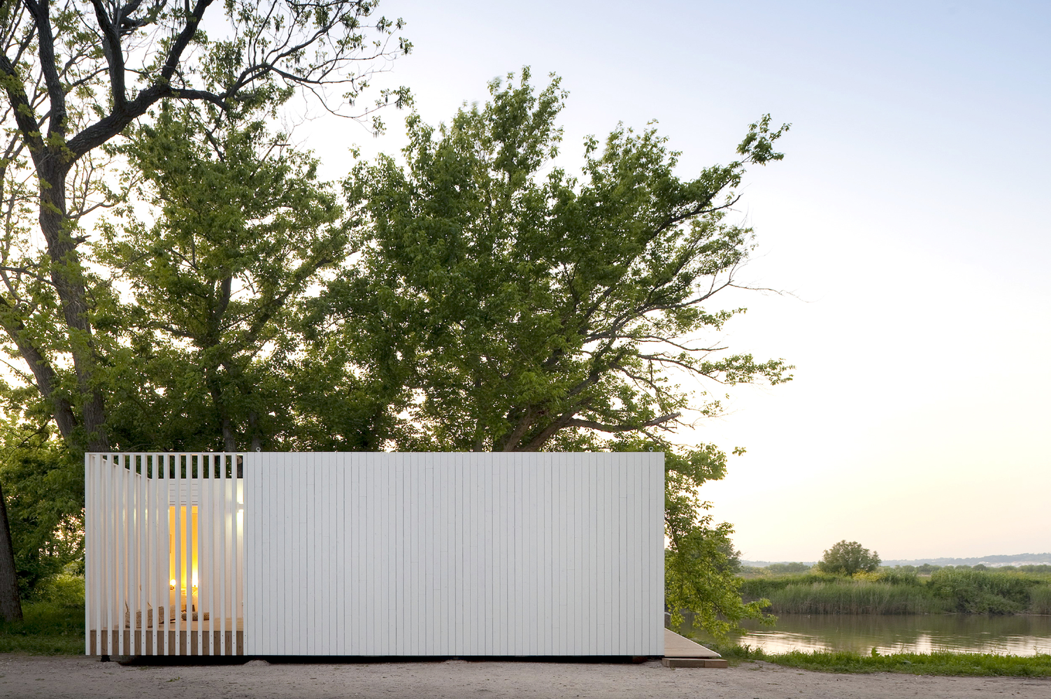 The Plyco Guide to Riga Plywood